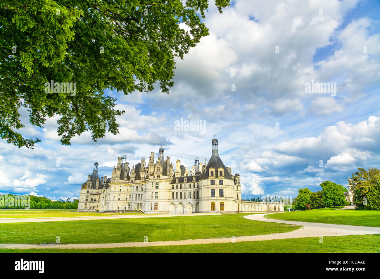 Chateau de Chambord, royal medieval french castle and tree. Loire ...