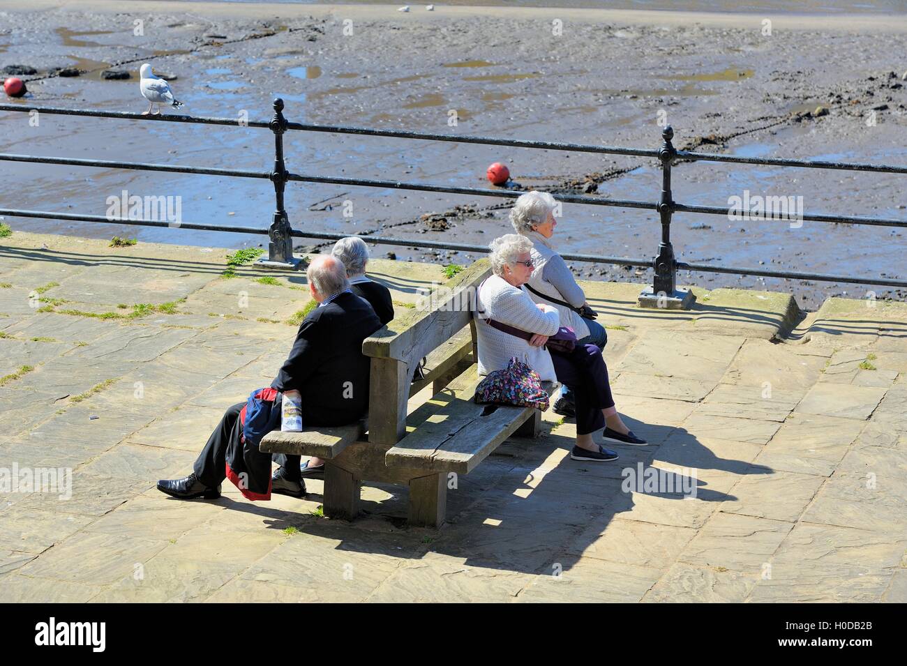 Pensioners on bench hi-res stock photography and images - Alamy
