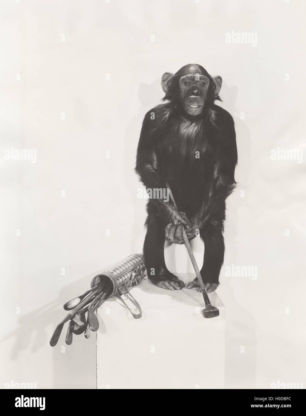 1950s club hi-res stock photography and images - Alamy