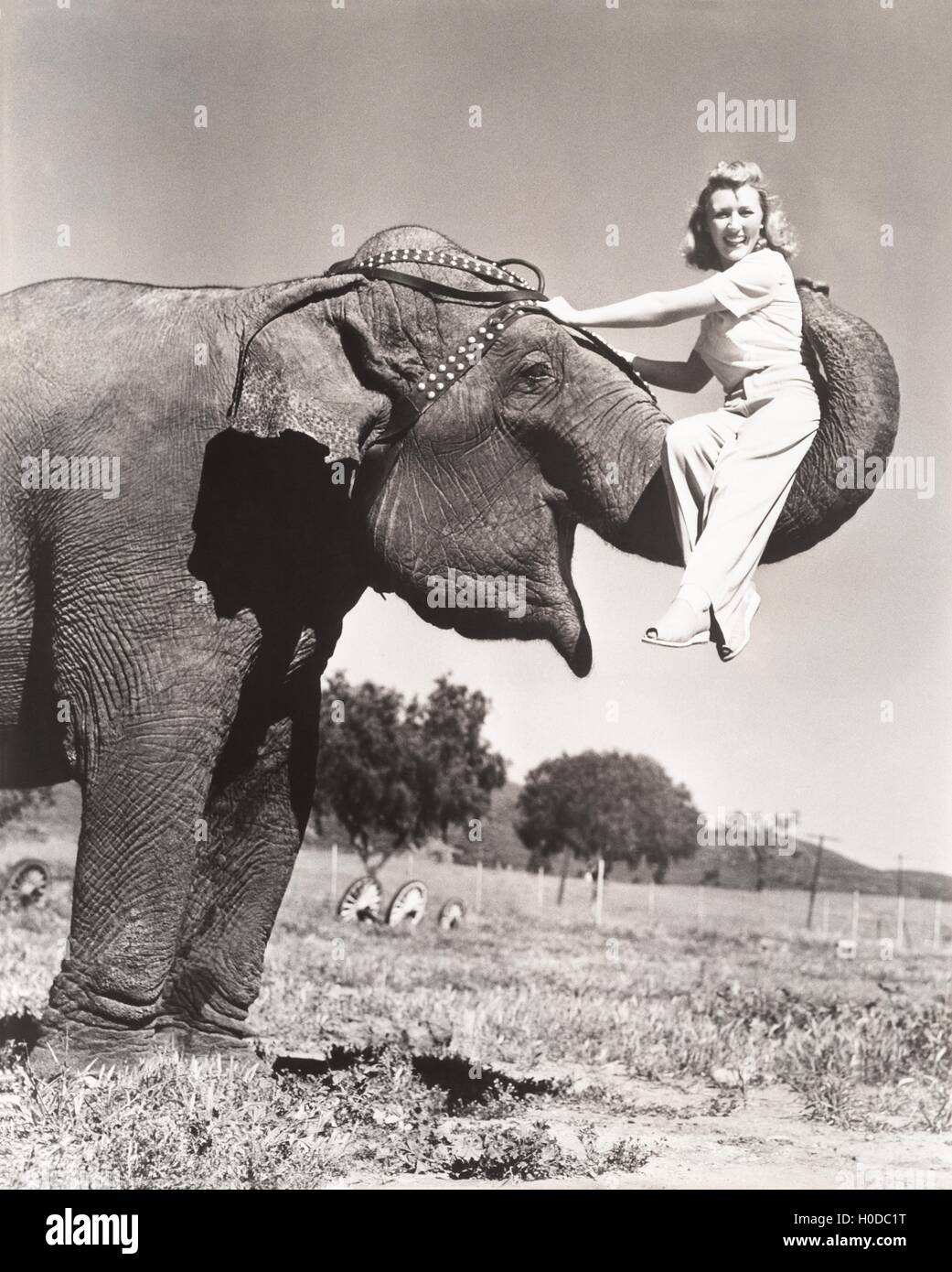 1940s historical man sitting on hi-res stock photography and images - Alamy