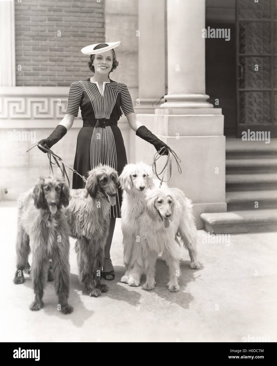A woman and her four Afghan Hounds Stock Photo - Alamy