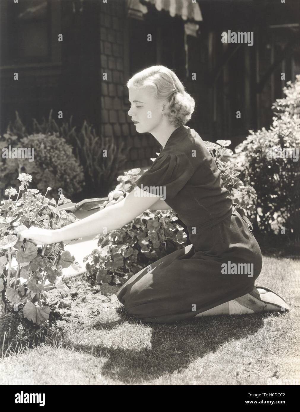 Full length side view of young woman pruning plants in garden Stock ...