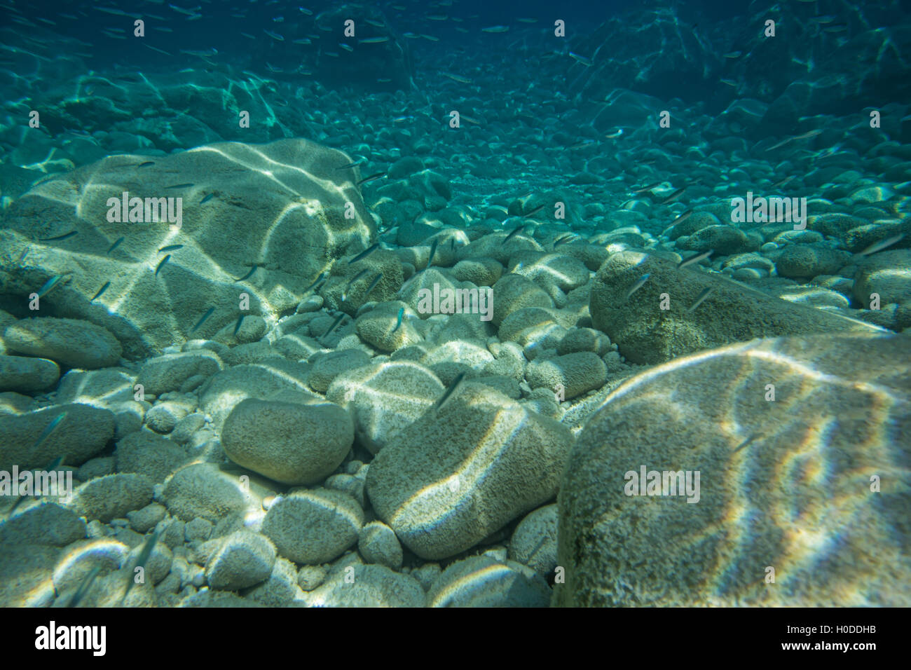 Underwater path hi-res stock photography and images - Alamy