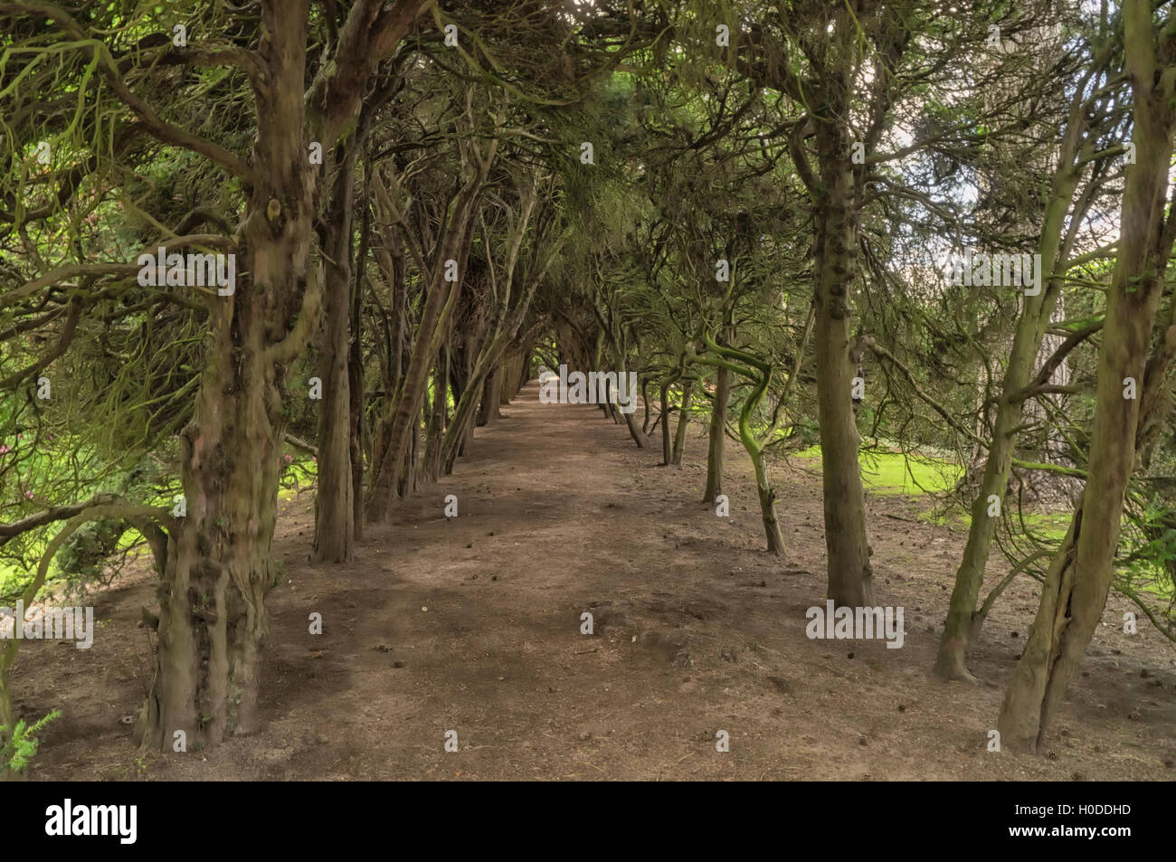 Time tunnel green hi-res stock photography and images - Alamy