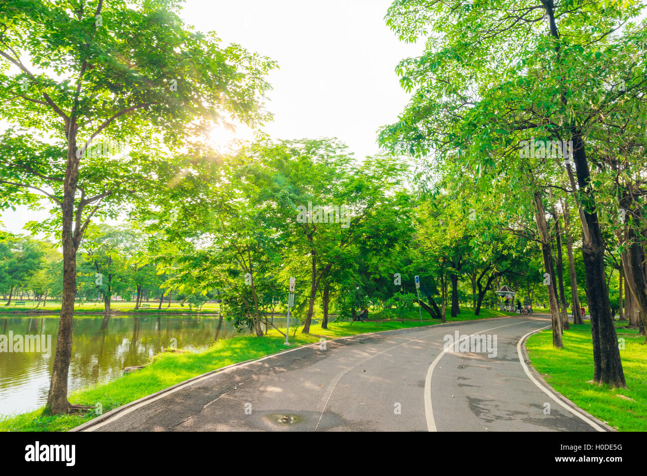 Green lawn in city park and pathway, Beautiful park Stock Photo - Alamy