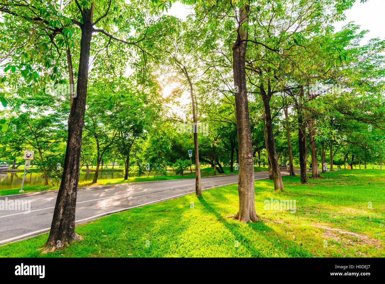 Green lawn in city park and pathway, Beautiful park Stock Photo - Alamy