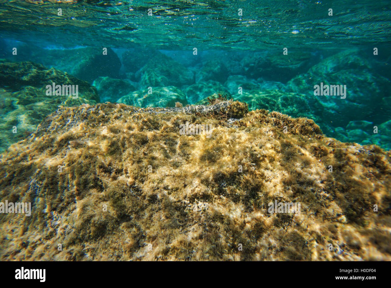 Stone under water Stock Photo - Alamy