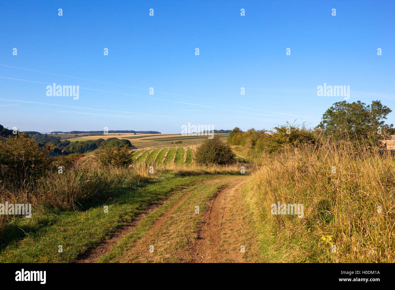 A scenic section of the Minster way footpath through the scenic ...