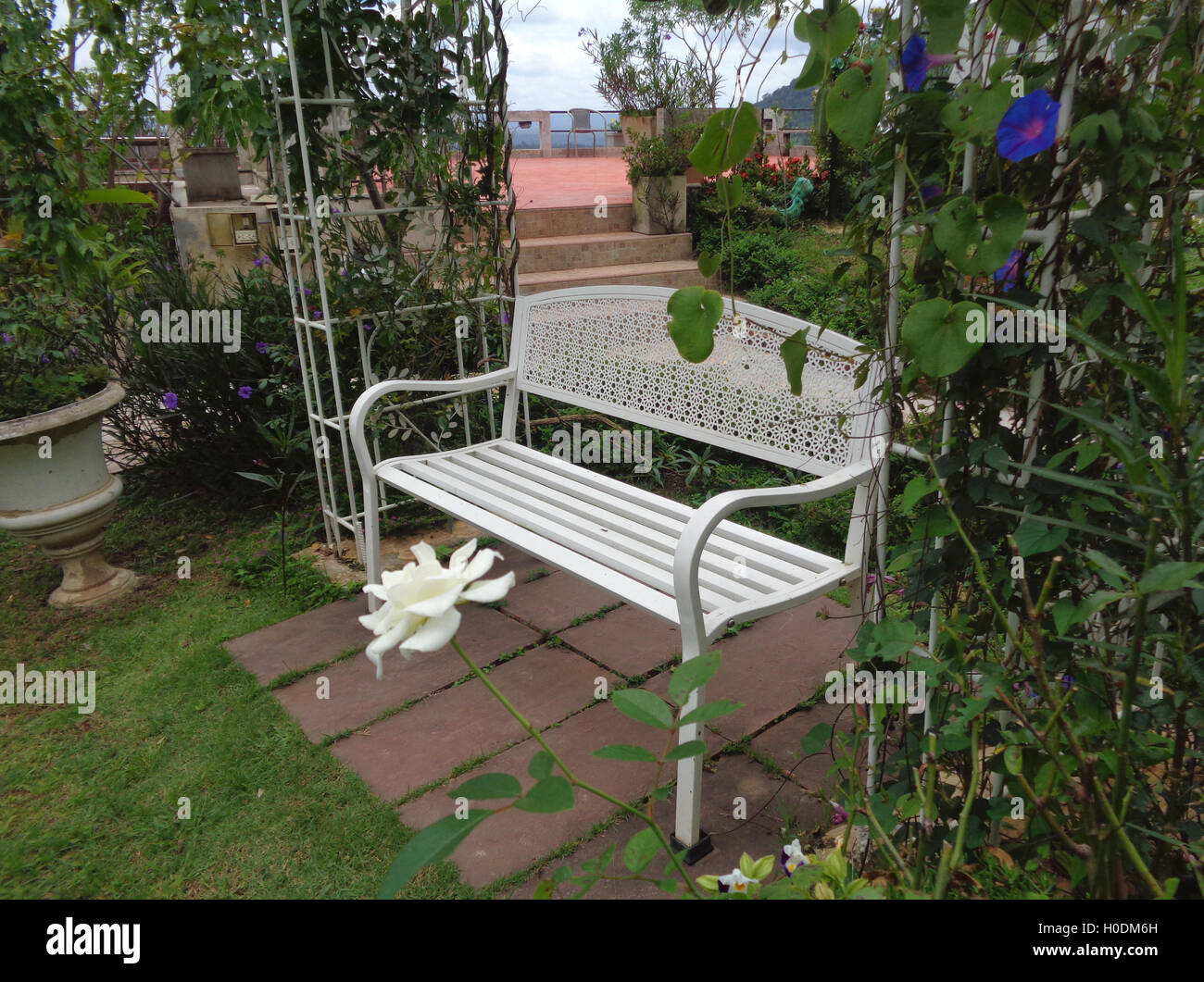 A white Iron Bench on the Cozy Corner of the Backyard Stock Photo - Alamy