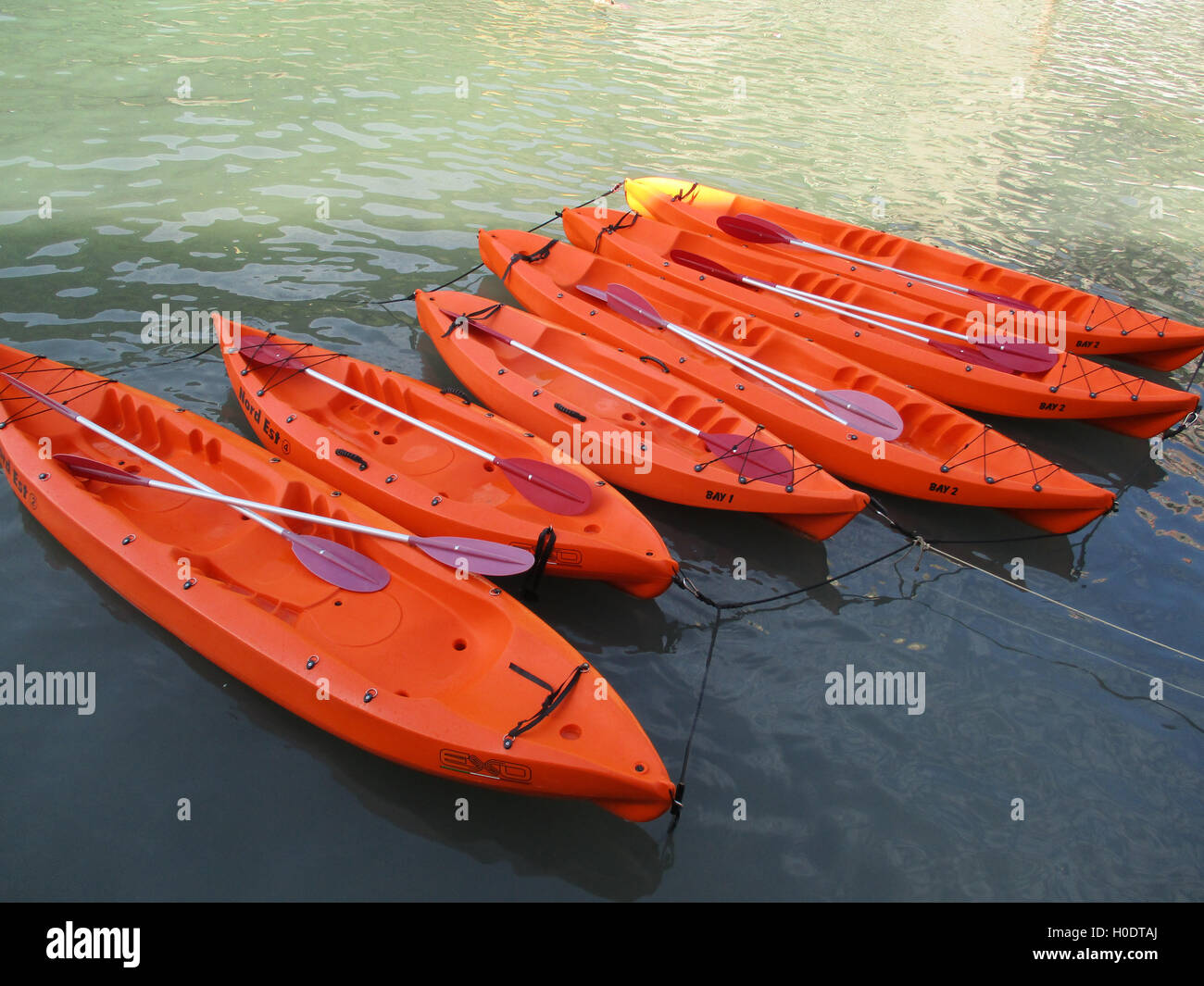 six orange canoe with oars Stock Photo - Alamy