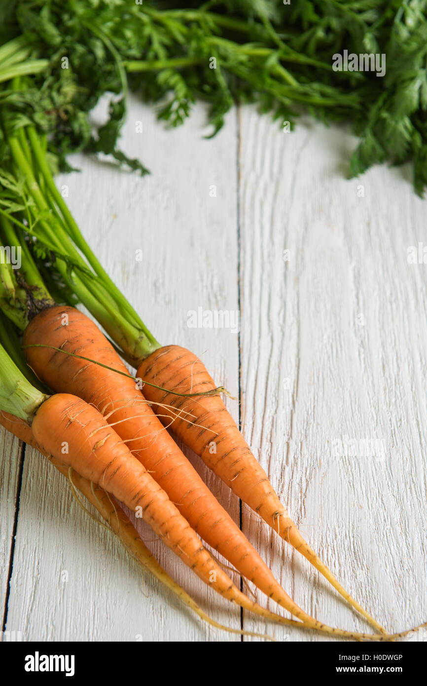 Freshly grown carrots Stock Photo - Alamy