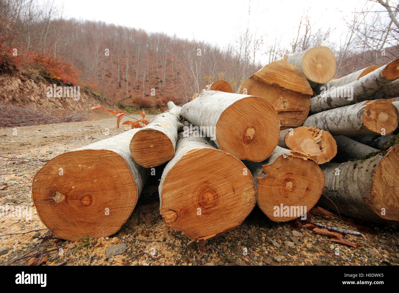 Stock image resource hi-res stock photography and images - Alamy