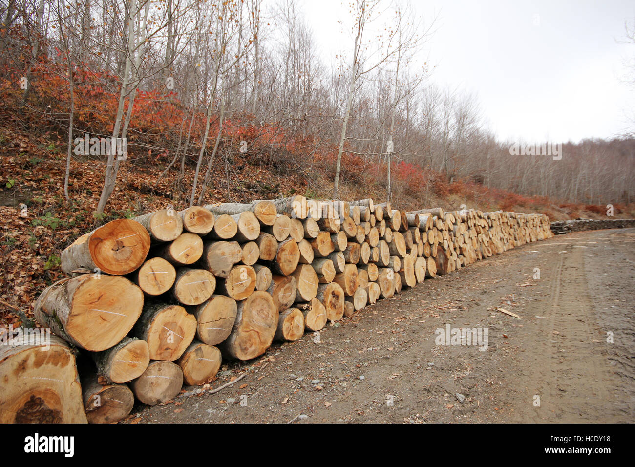 Stock image resource hi-res stock photography and images - Alamy