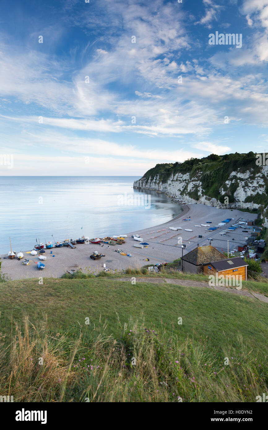 Beer, Devon, England, UK Stock Photo - Alamy