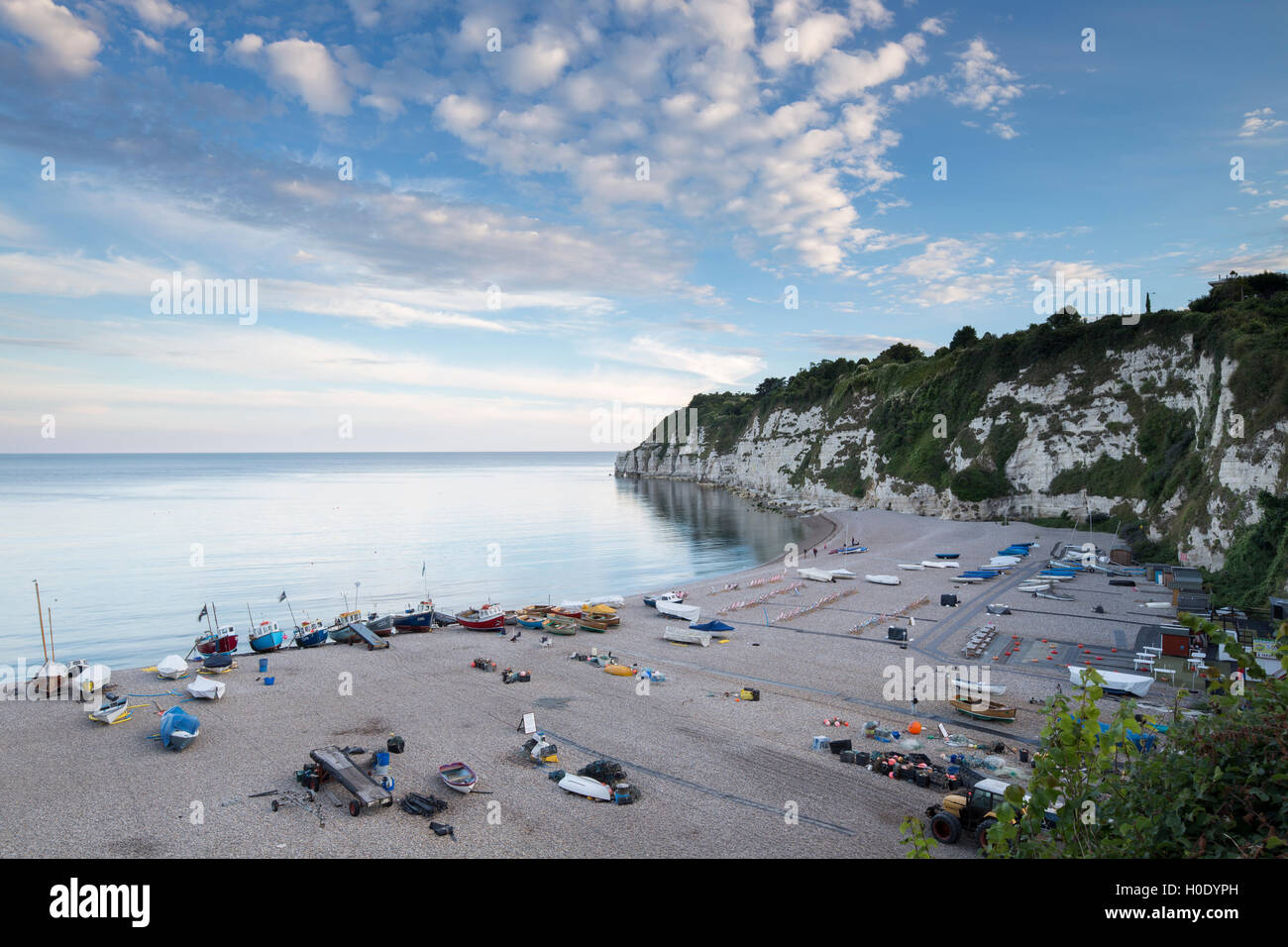 Beer Beach, Beer, Devon, England, UK Stock Photo - Alamy