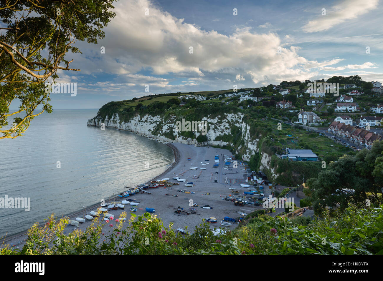 Beer village devon hi-res stock photography and images - Alamy