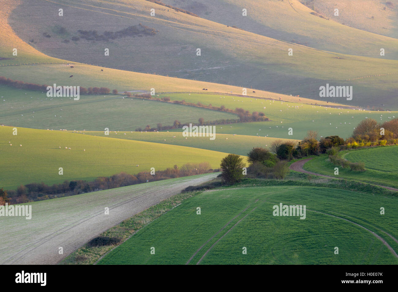 Lewes kingston ridge hi-res stock photography and images - Alamy