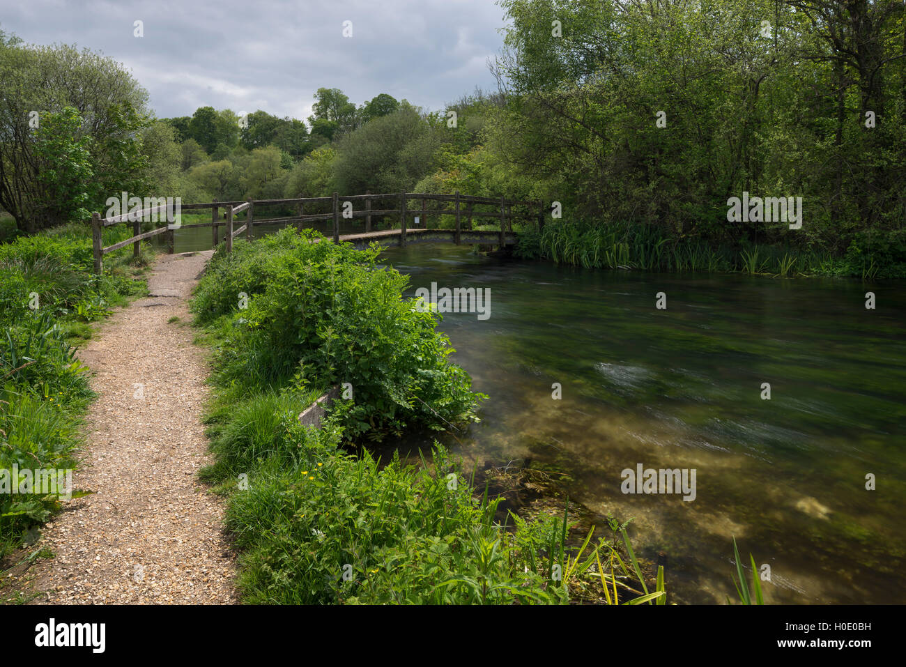 River Itchen Fishing High Resolution Stock Photography and Images - Alamy