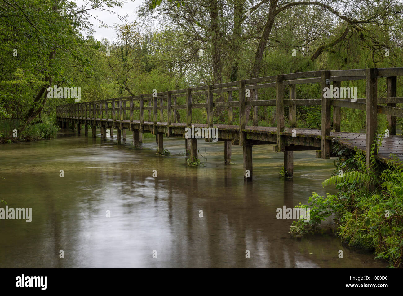 Footbridge over the River Test near Wherwell, Hampshire. England. UK ...