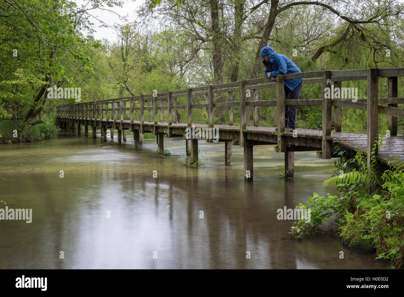 River Test High Resolution Stock Photography and Images - Alamy