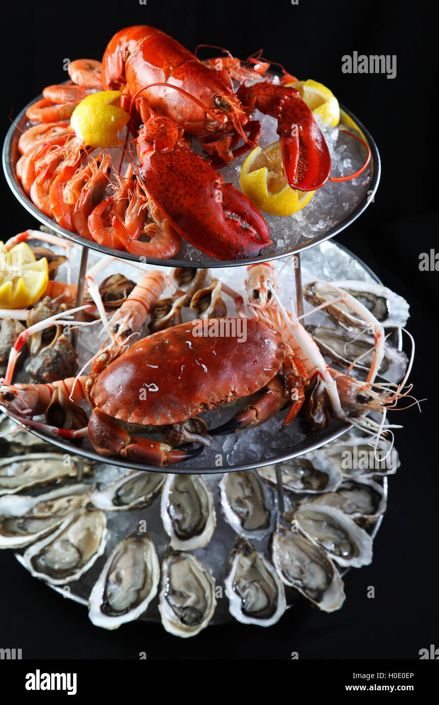 Seafood buffet with lobster, oyster, crabs and mantis shrimps on ice ...