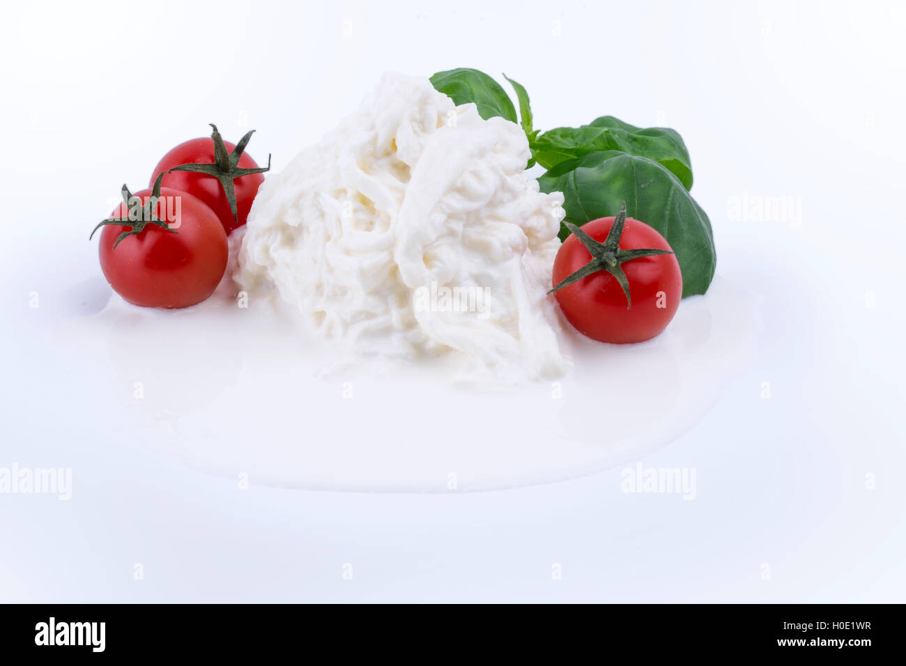 Buffalo mozzarella cheese made from milk Alibovalo on white background ...