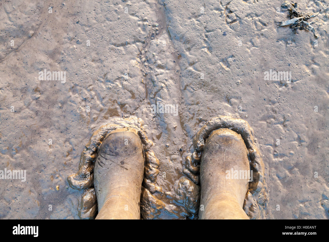 Boots stuck in the mud Stock Photo - Alamy