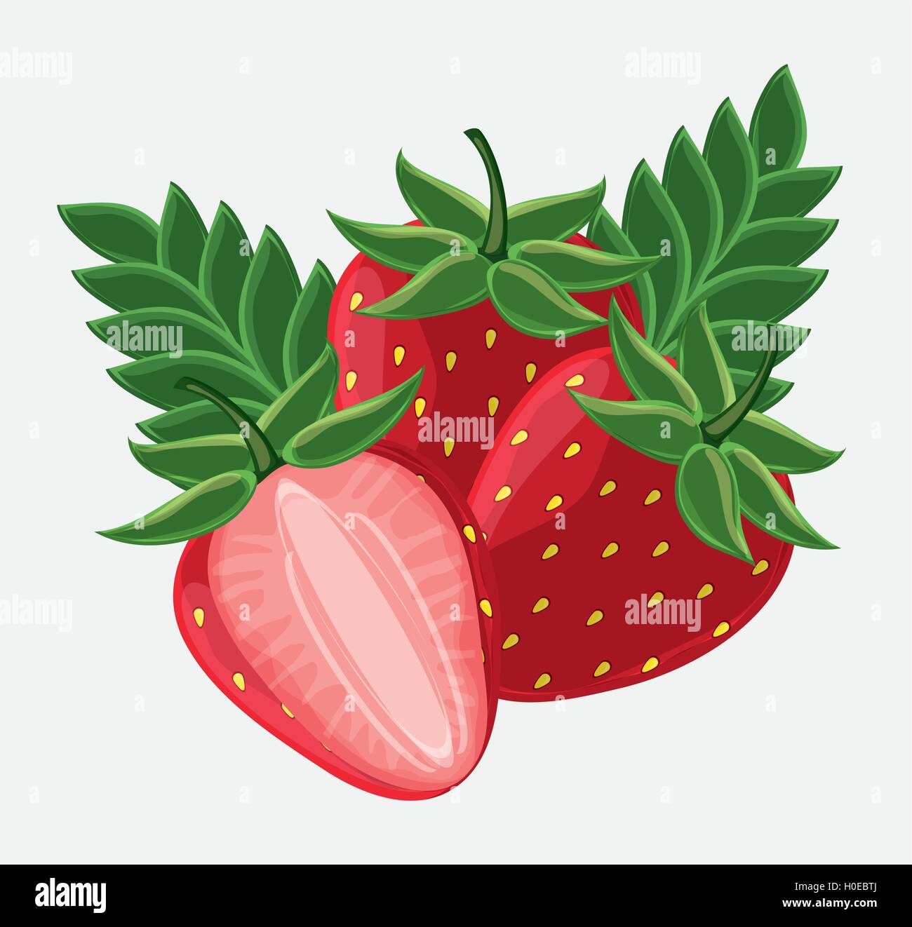 Strawberry fruit design Stock Vector Image & Art - Alamy