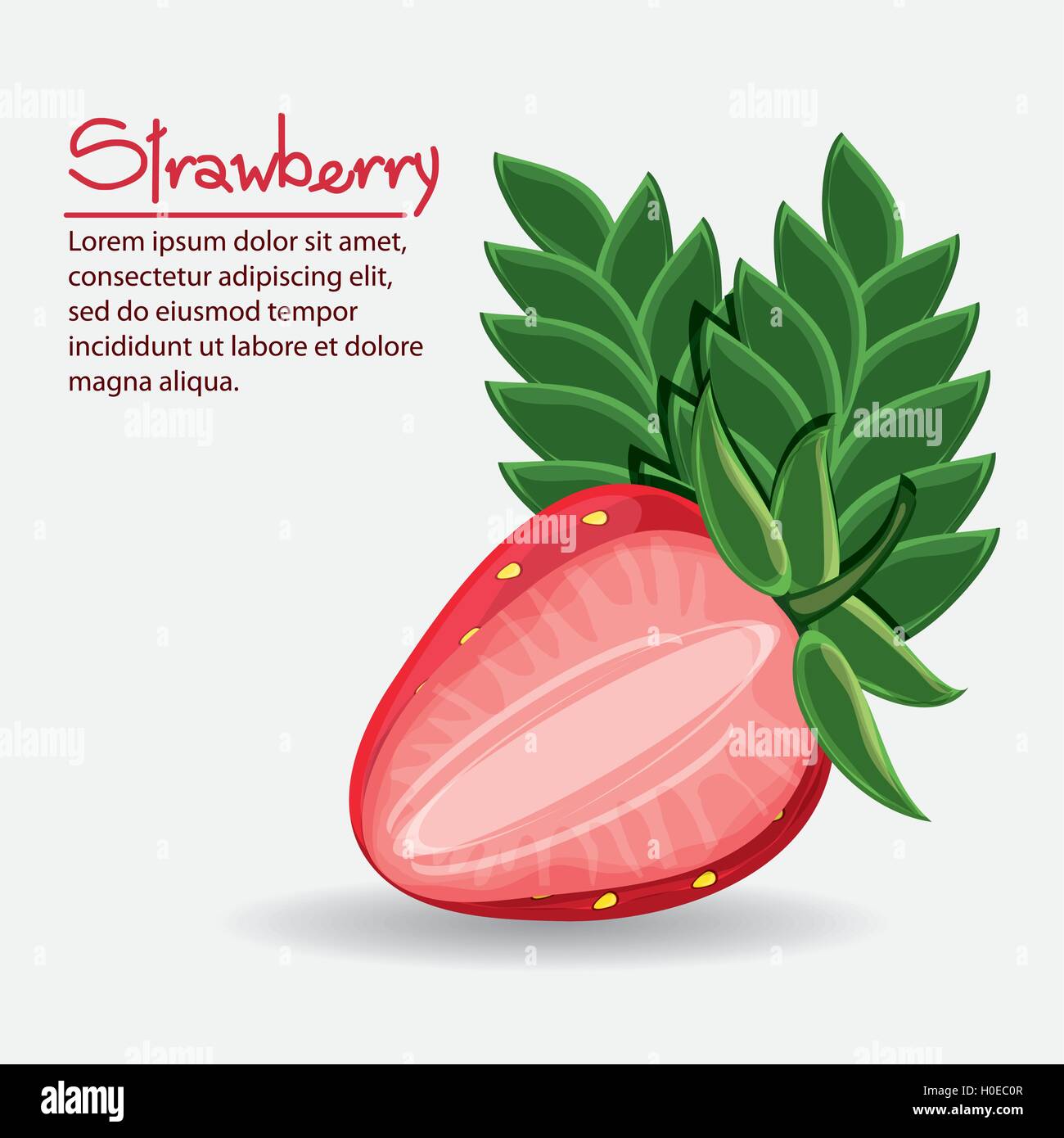 Strawberry fruit design Stock Vector Image & Art - Alamy