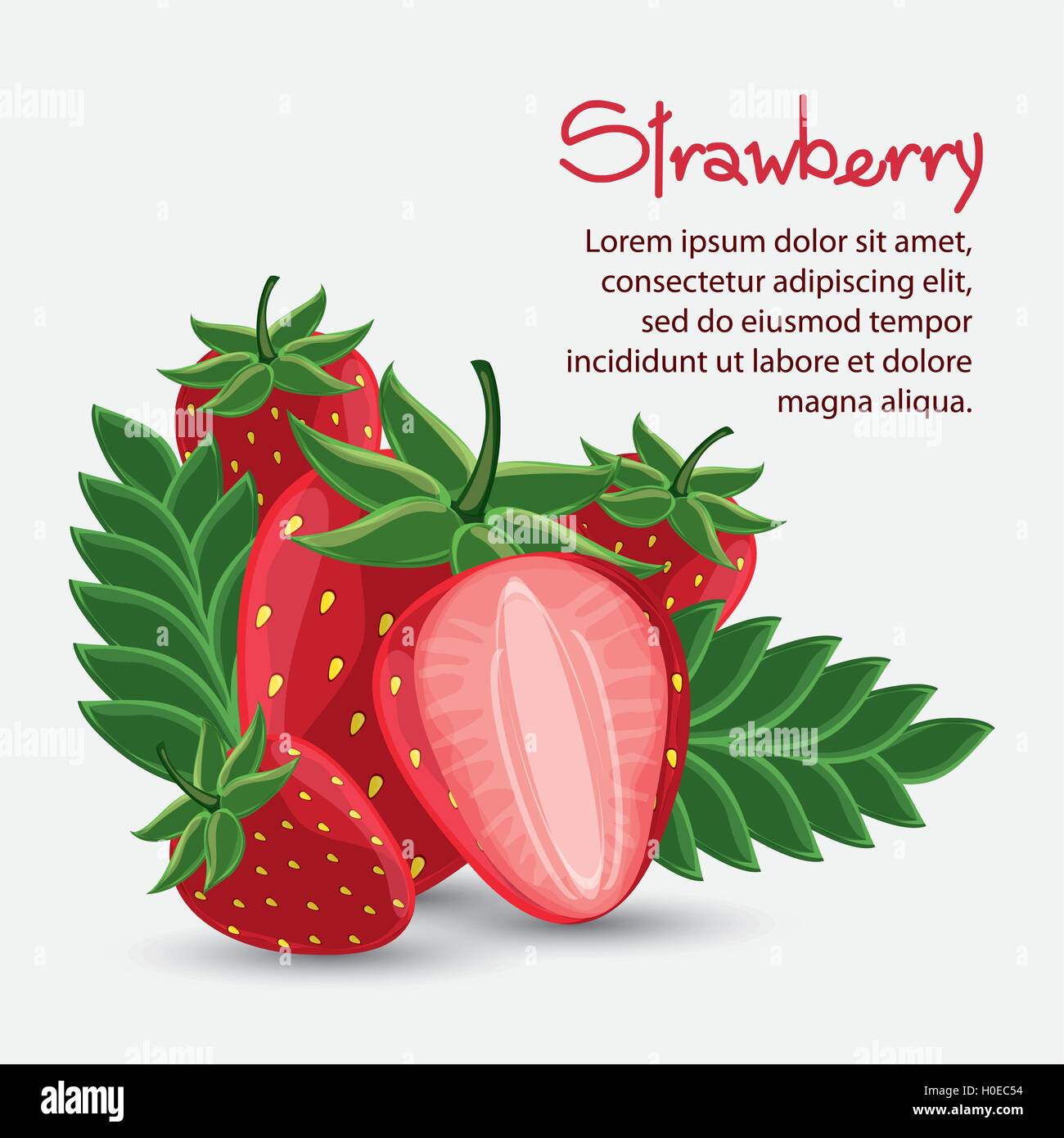 Strawberry fruit design Stock Vector Image & Art - Alamy