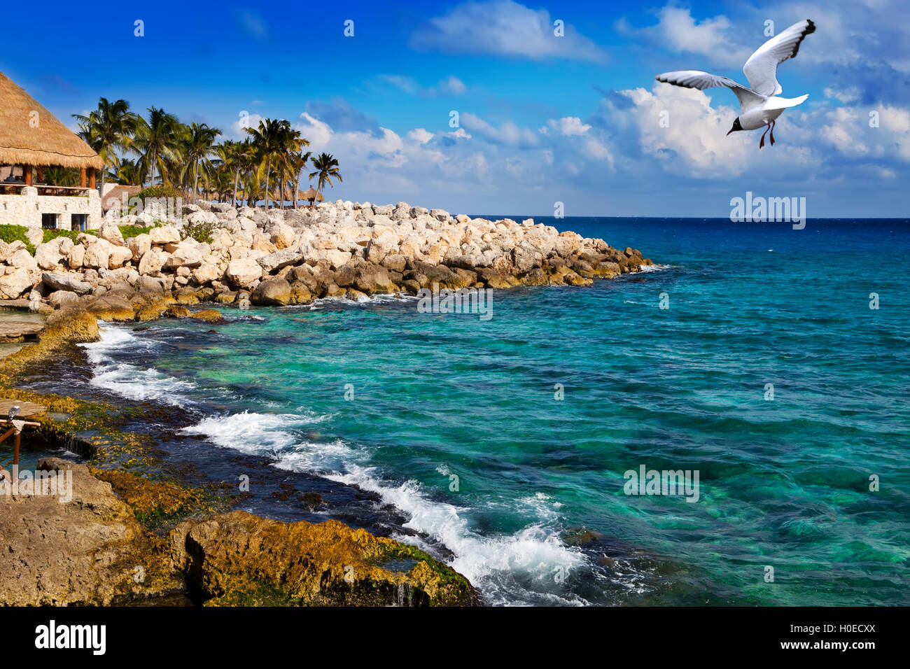 Tropical coast in mexico hi-res stock photography and images - Alamy