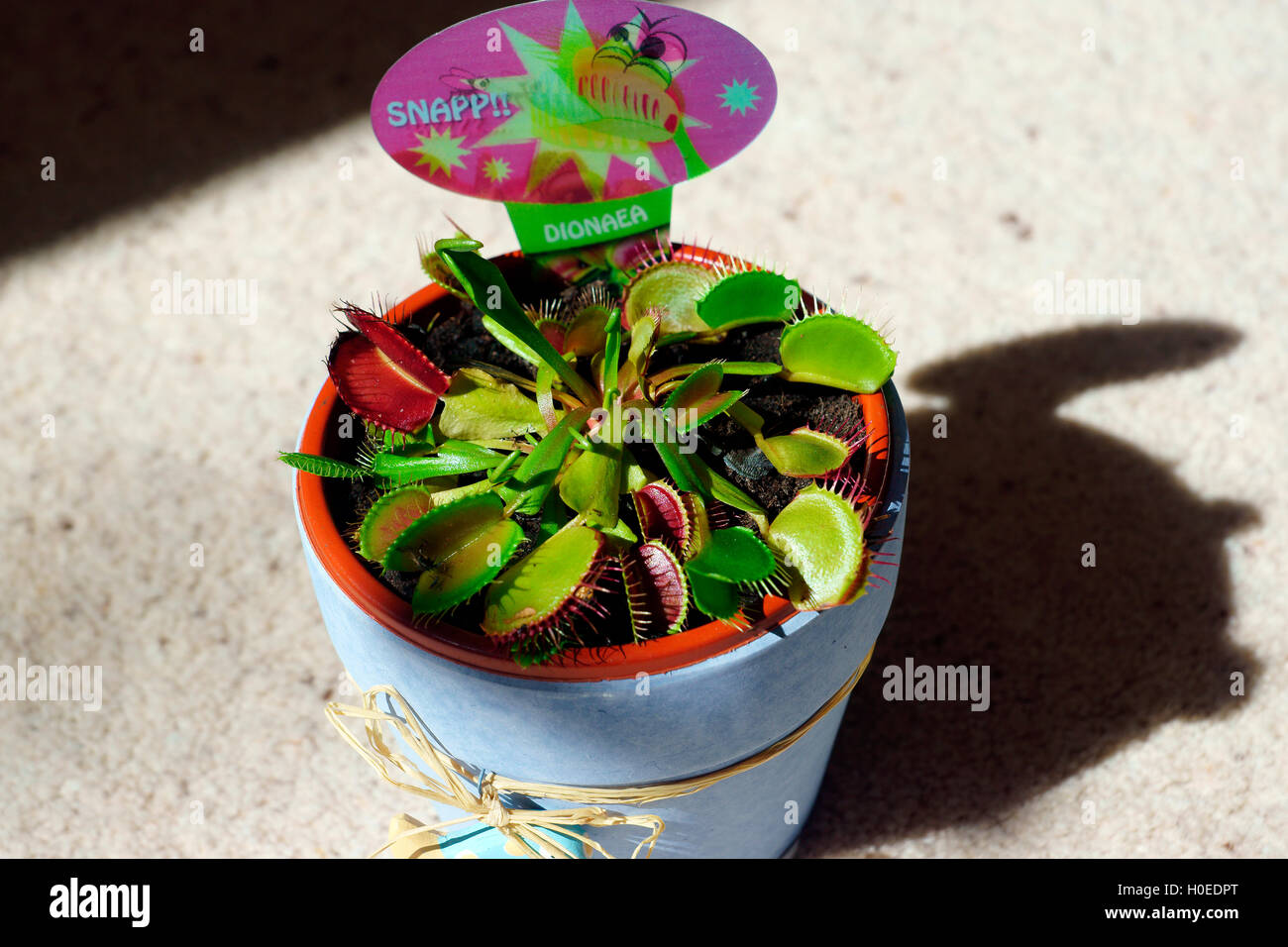 Hormone trap hi-res stock photography and images - Alamy