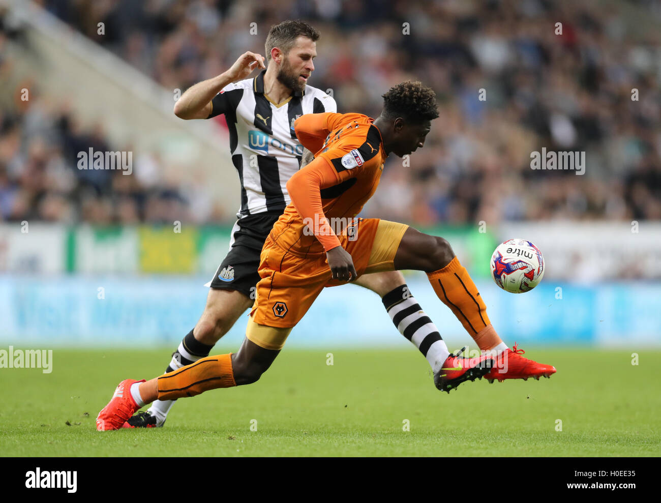 Newcastle United's Daryl Murphy (left) and Wolverhampton Wanderers ...