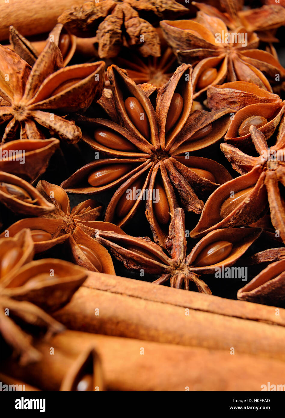 Background texture of several star anise fruits and seeds Stock Photo ...