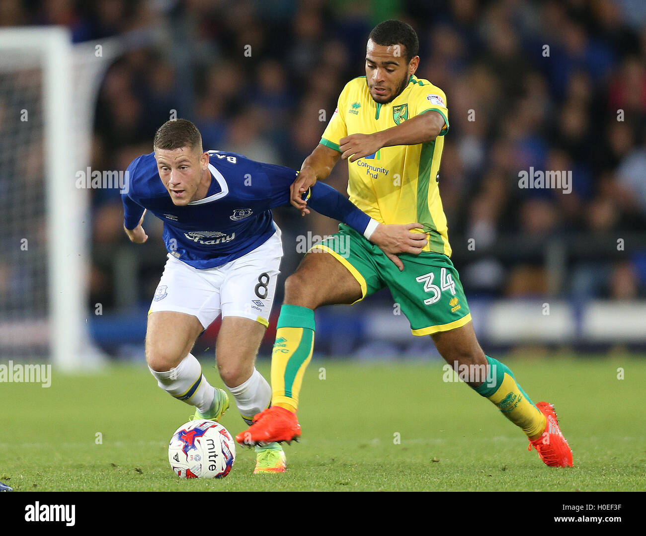 Norwich citys louis thompson hi-res stock photography and images - Alamy