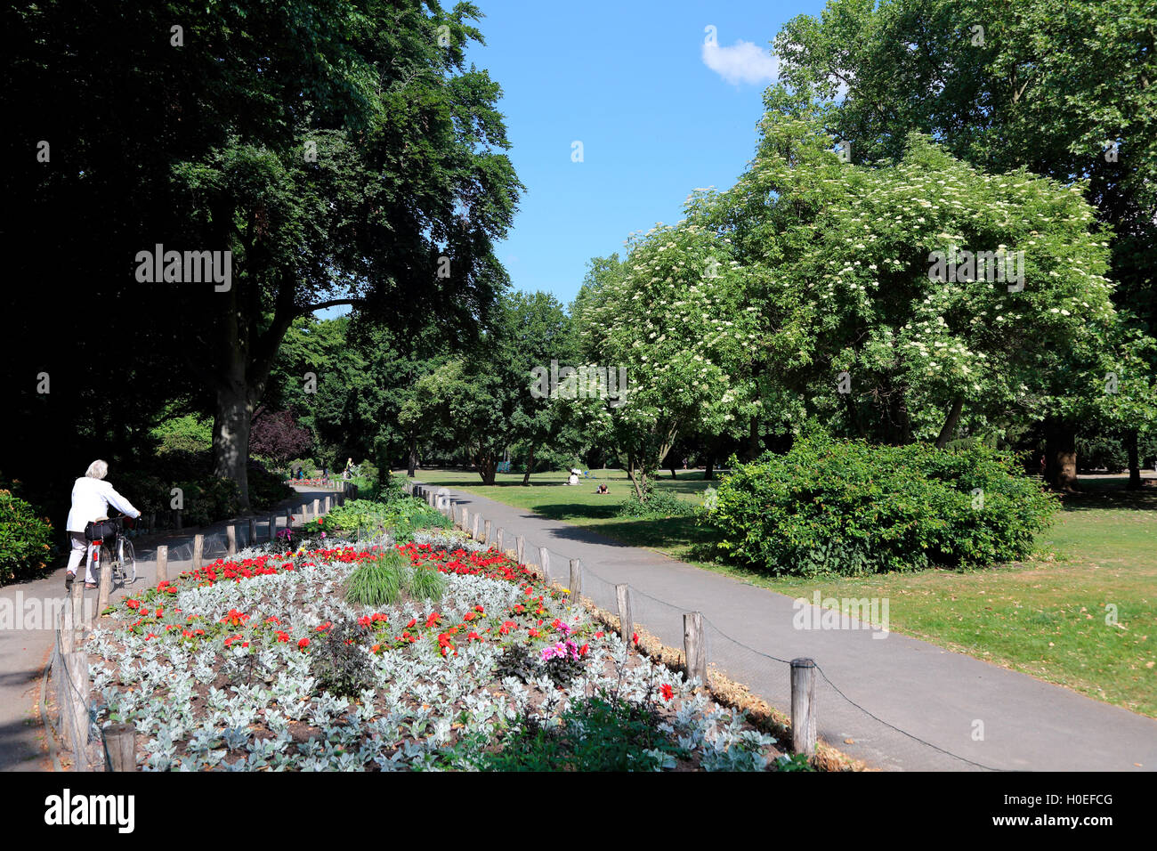 Volkspark hi-res stock photography and images - Alamy