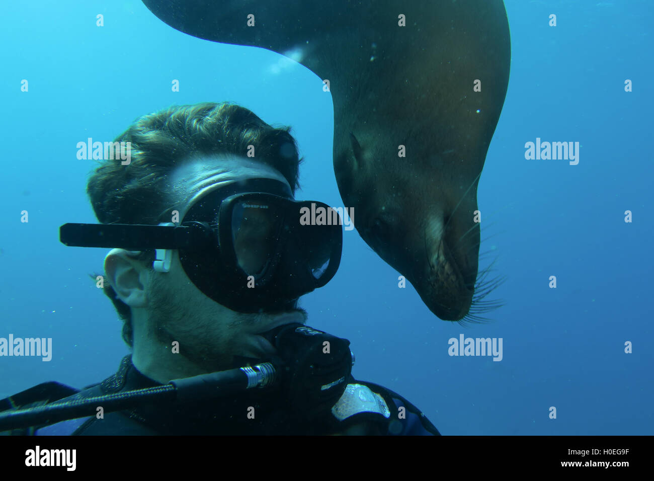 Scuba regulator hi-res stock photography and images - Alamy