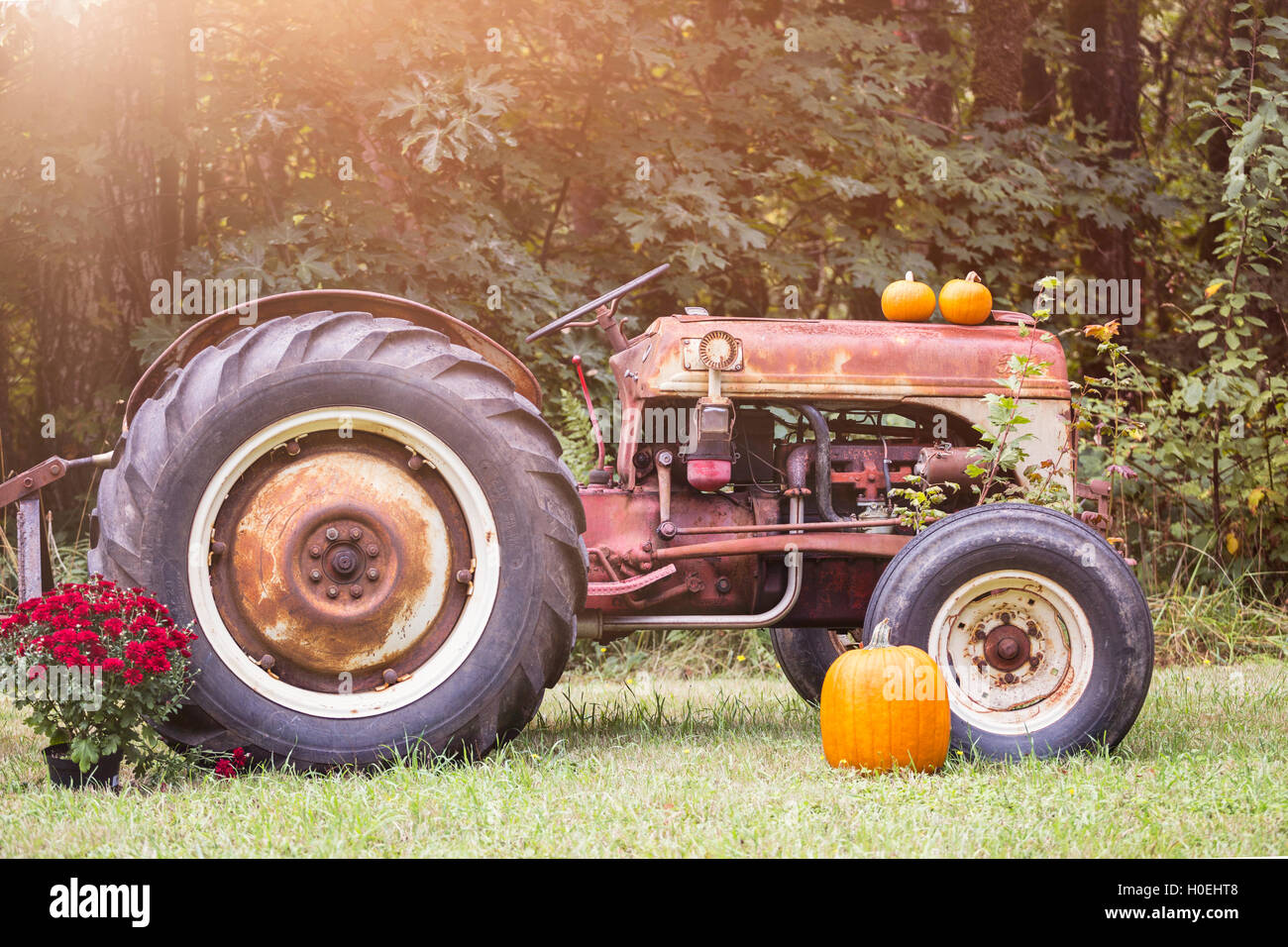 American vintage tractor hi-res stock photography and images - Alamy