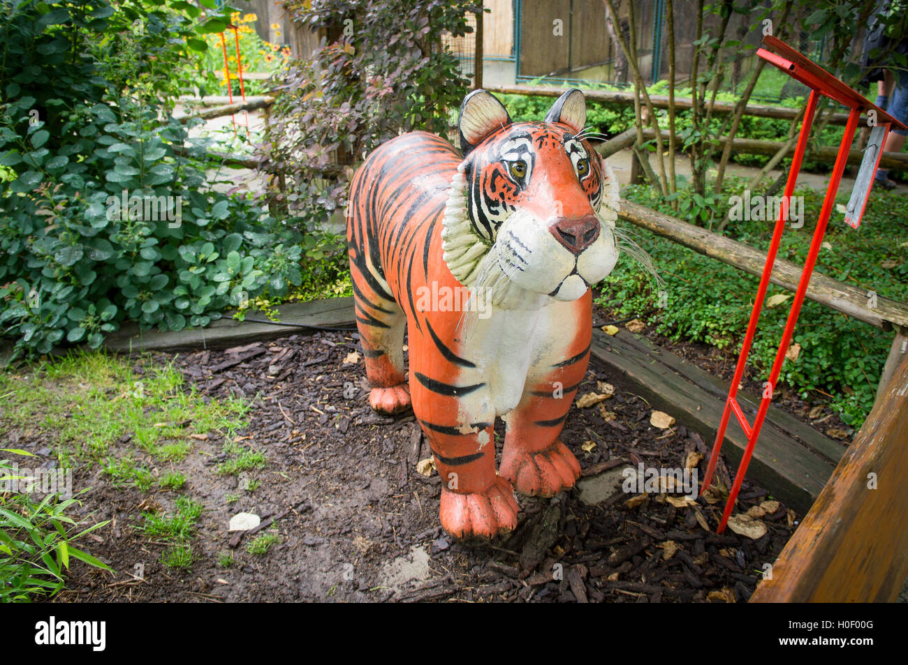 Panthera Tigris Balica