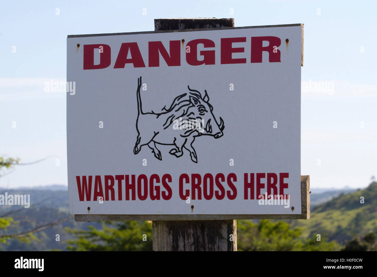 Road sign warning animals hi-res stock photography and images - Alamy