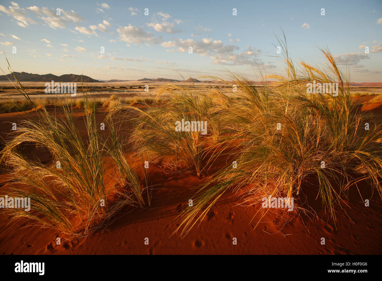Scenic desert landscape in Namibia Stock Photo - Alamy