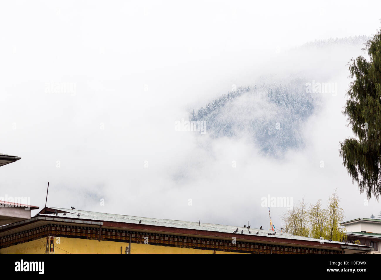 Rooftop in thimphu hi-res stock photography and images - Alamy