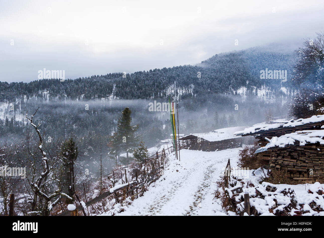 Farmland in the Himalayas, snow bound Haa Valley, Bhutan Stock Photo ...