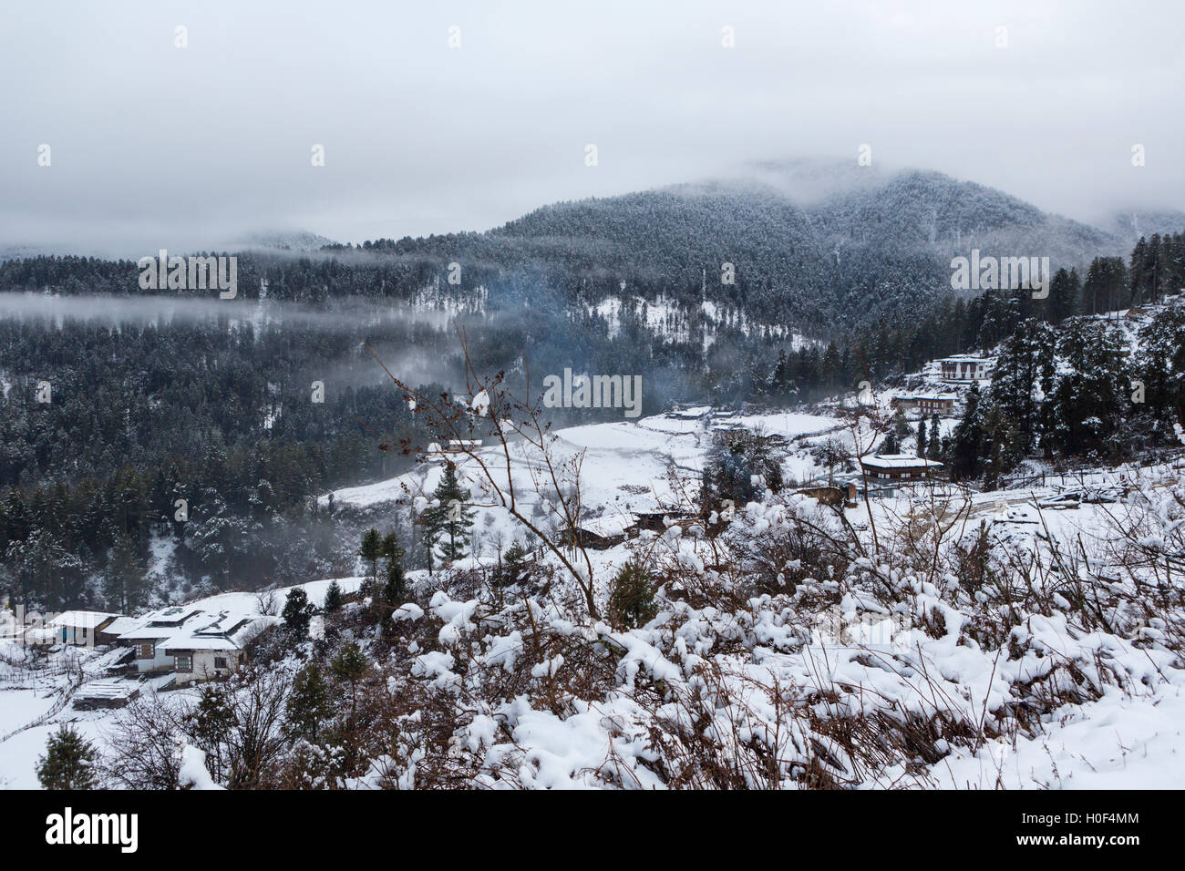 Farmland in the Himalayas, snow bound Haa Valley, Bhutan Stock Photo ...