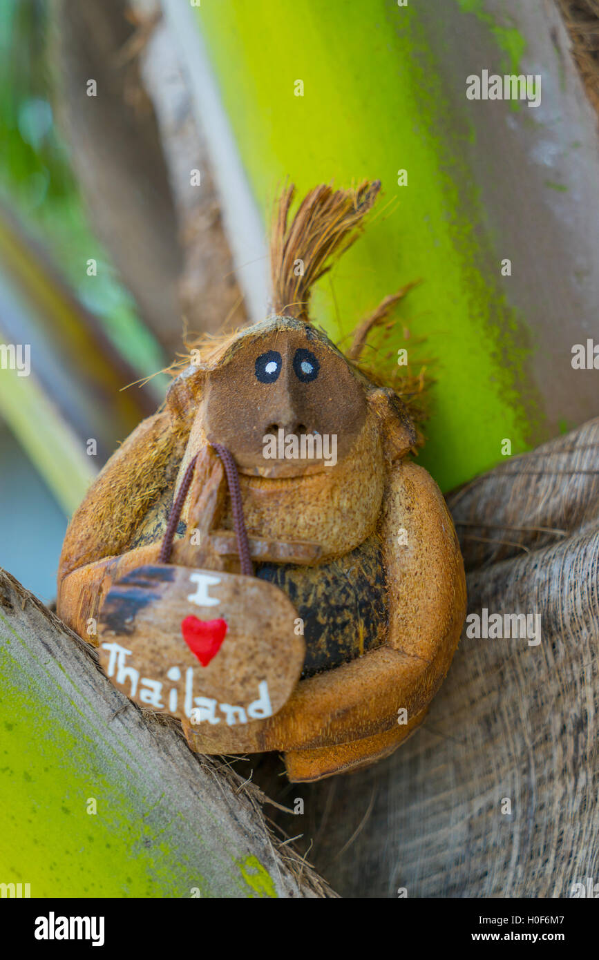 Coconut monkey on the beach in THailand Stock Photo - Alamy