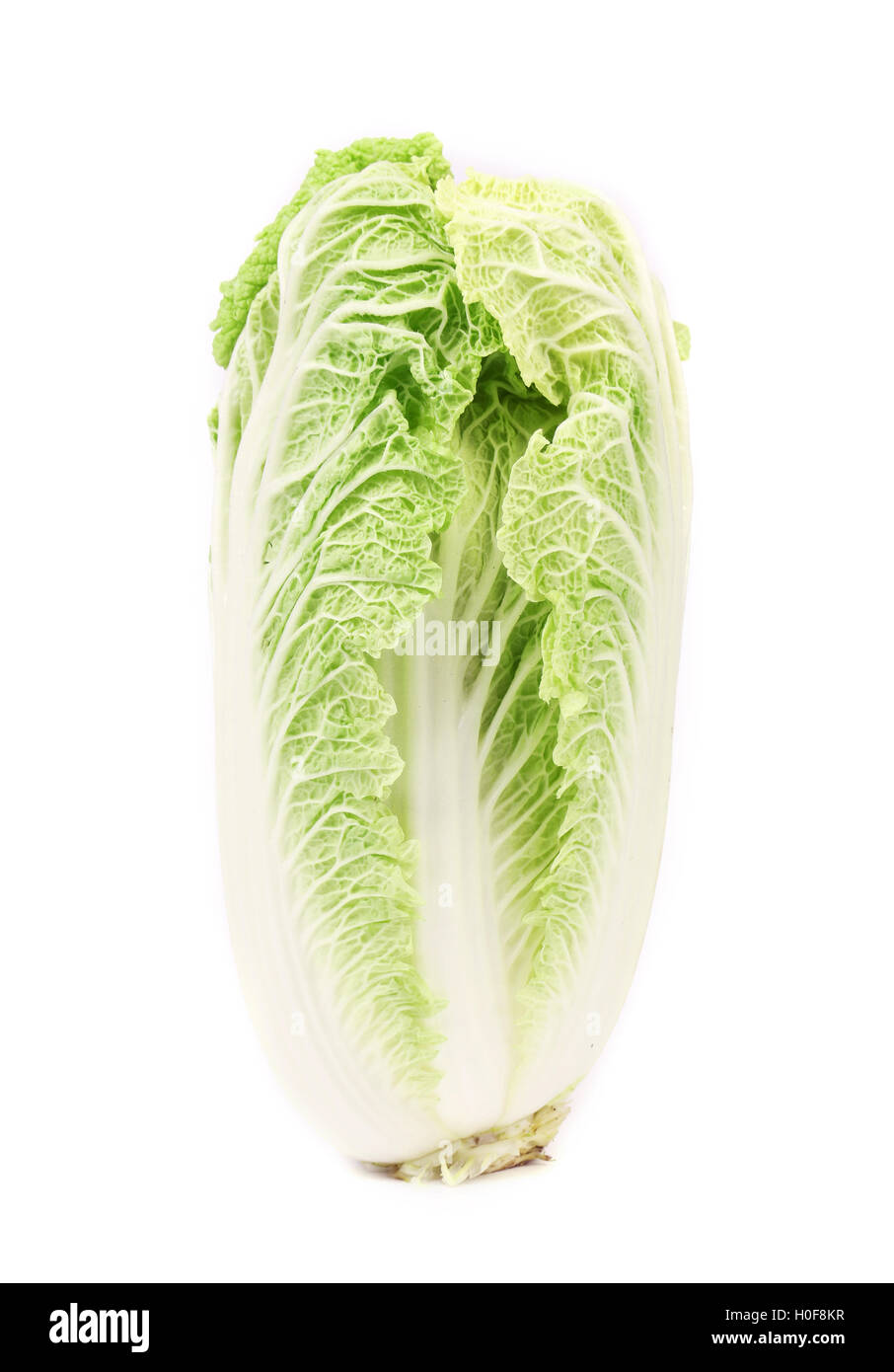 Sliced tasty chinese cabbage Stock Photo - Alamy