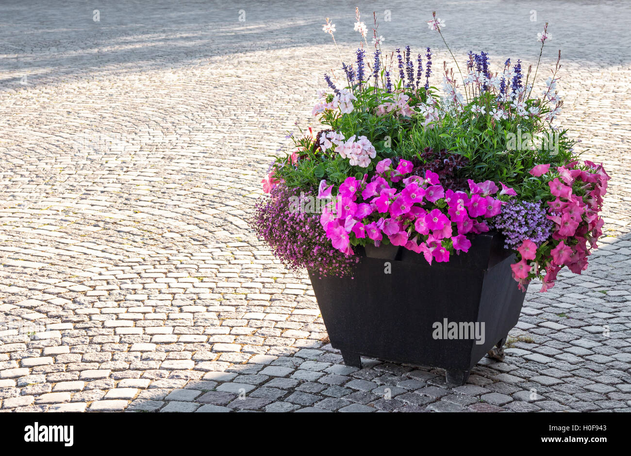 Flowers decorating a city square Stock Photo - Alamy