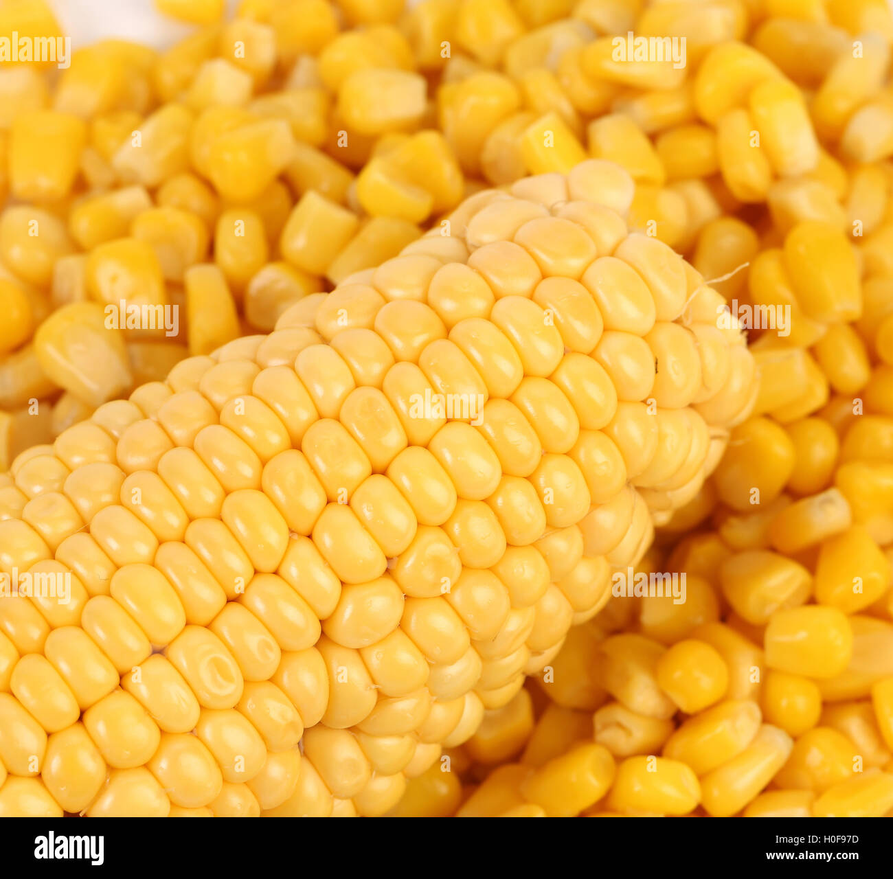 Tasty yellow ear of corn Stock Photo - Alamy