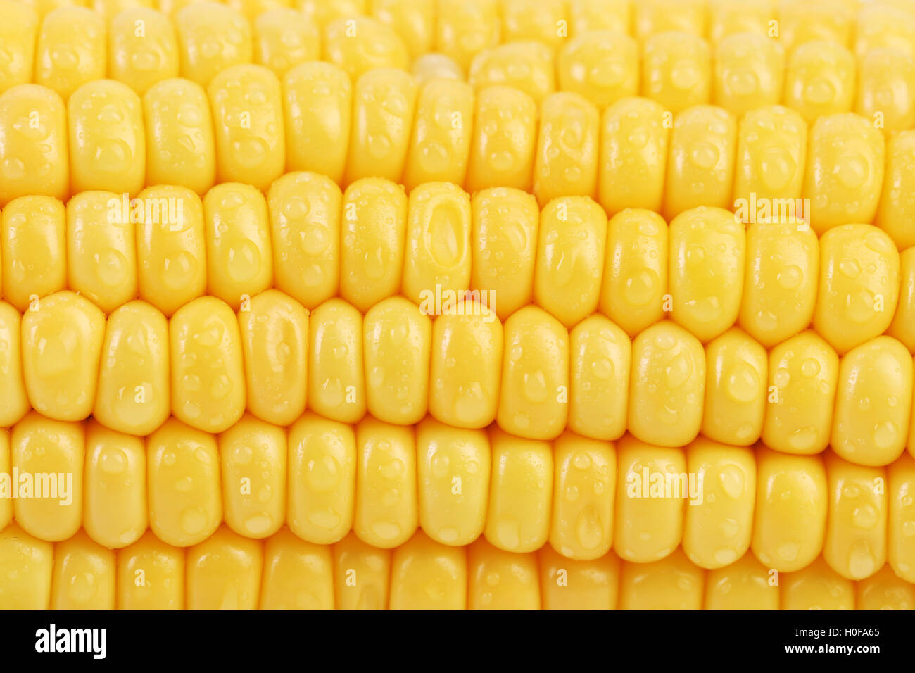 Background of corn grains Stock Photo - Alamy