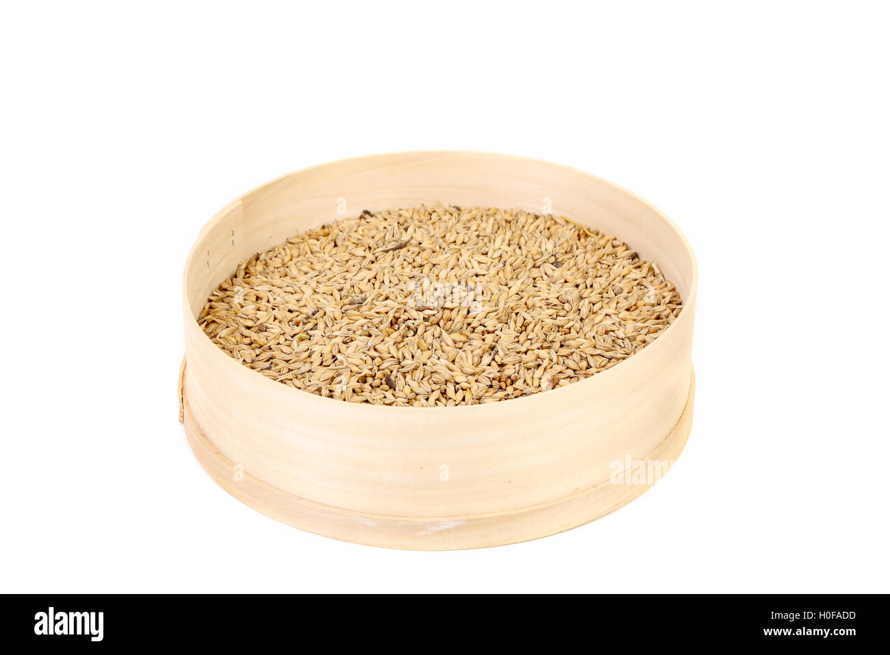 Wheat grain into sieve Stock Photo - Alamy